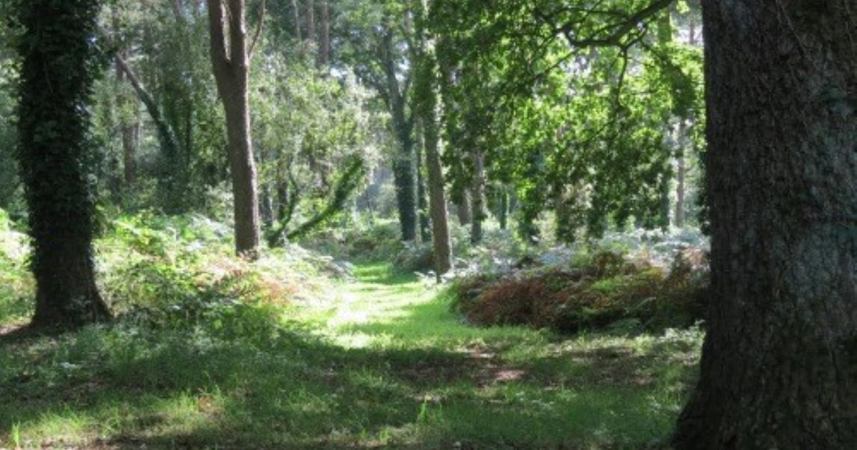 Parc de l'Arc'Hantel - Office de tourisme de Brest métropole