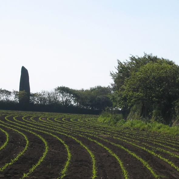 Menhir de Kerloas - Office de tourisme Iroise Bretagne